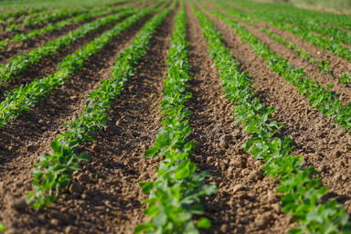 MAGASINIER F/H | InVivo